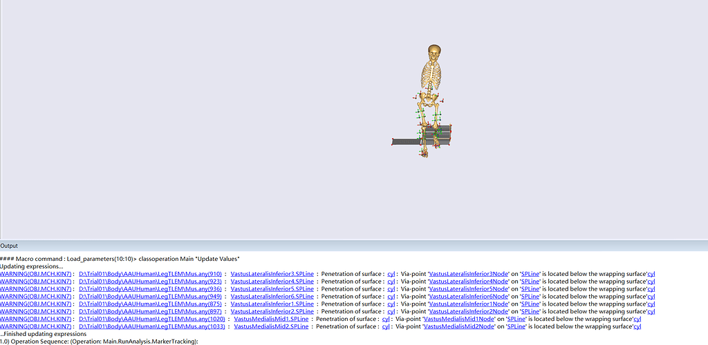 C3D file inverse dynamics analysis error - Main Forum - AnyScript forum